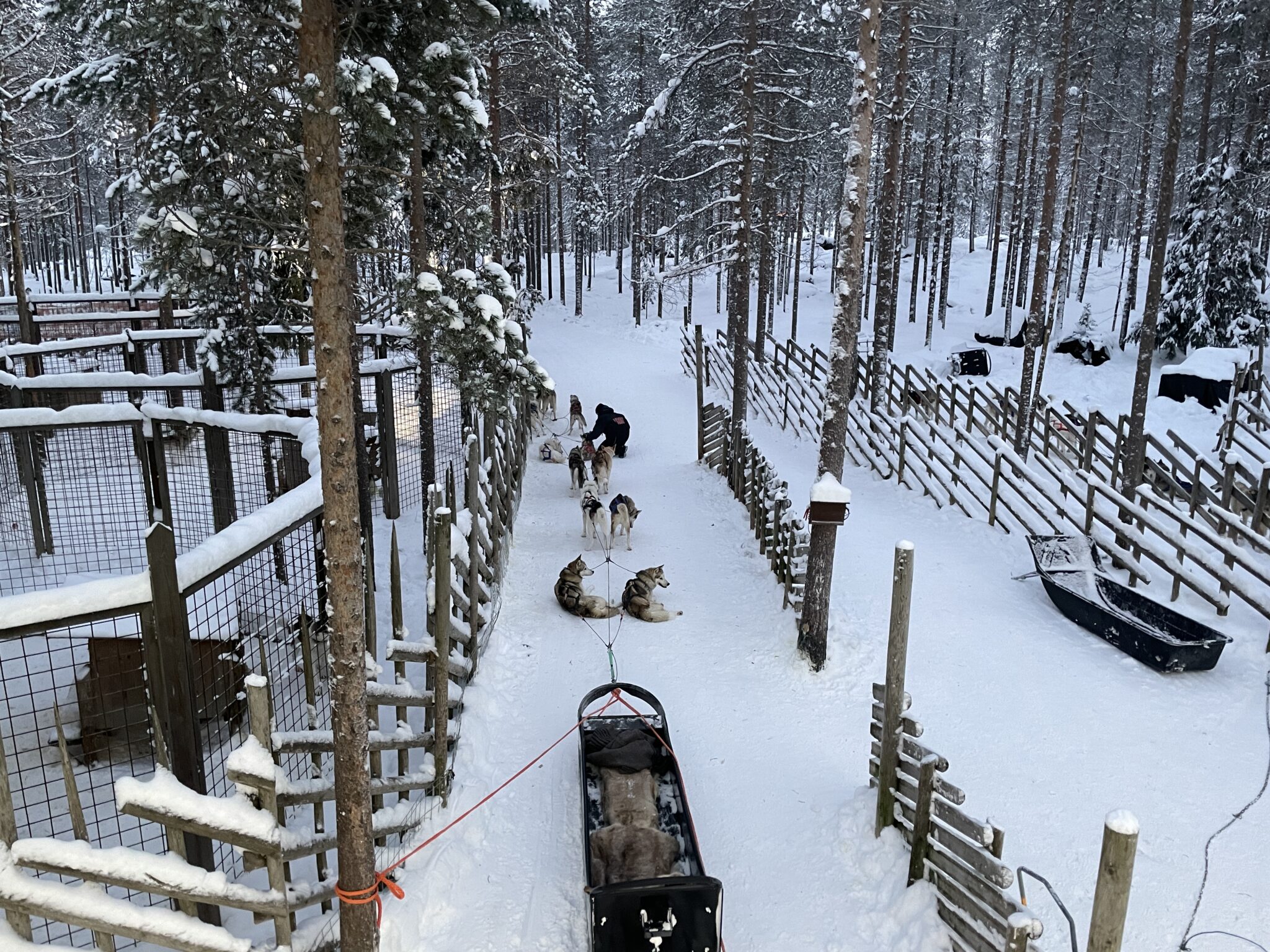 1 zi in Satul lui Mos Craciun din Laponia - activitati, informatii