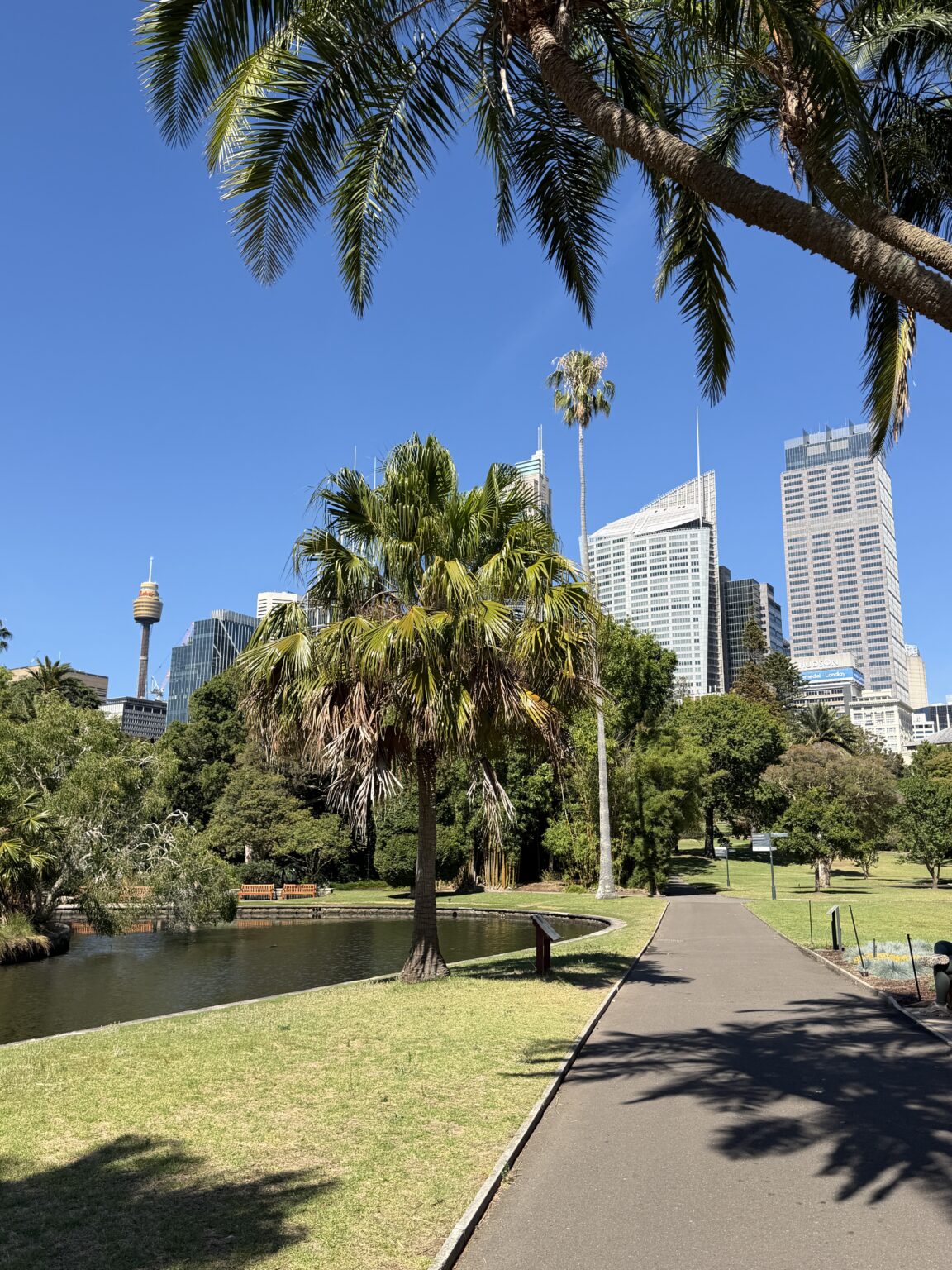 Ce sa faci 3 zile in Sydney - itinerar, costuri, obiective, informatii